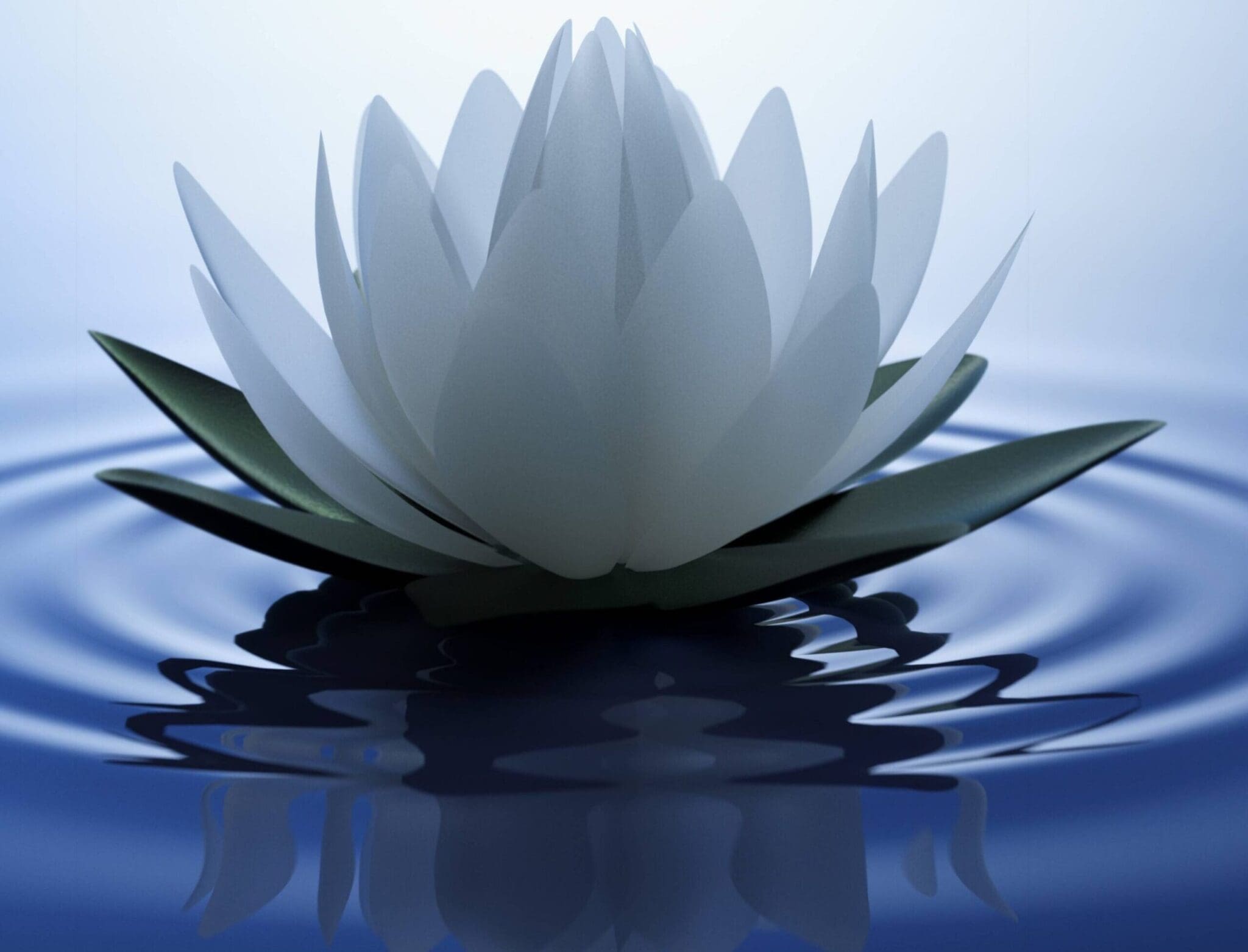 Residential | Everstand